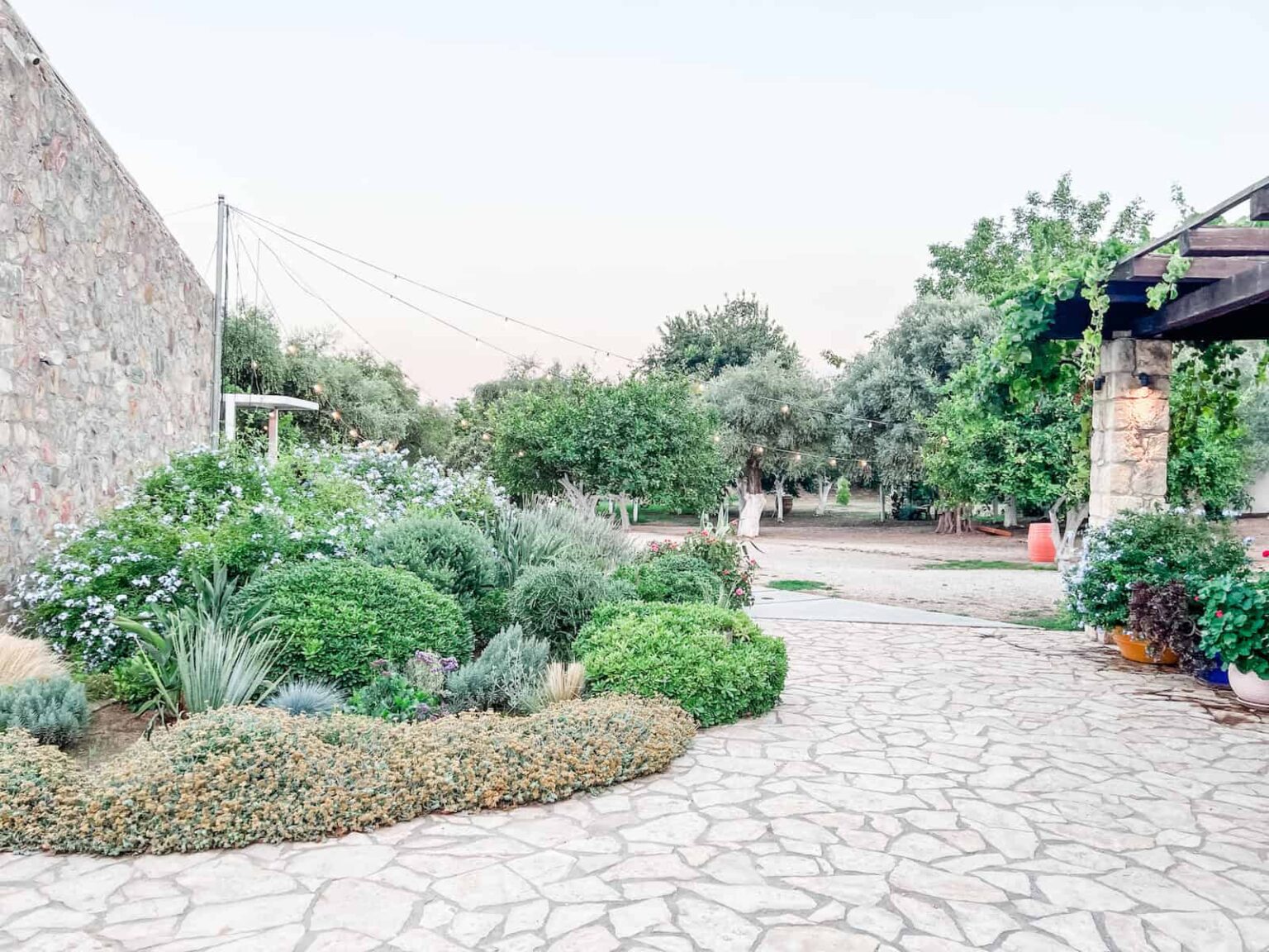 3 Crete Wineries in Chania You'll Love