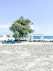 How to Tour the Best Santorini Wineries – Wine Travelista