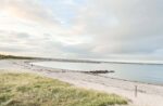 The Best Cape Cod Wineries & Vineyards (From a Local)