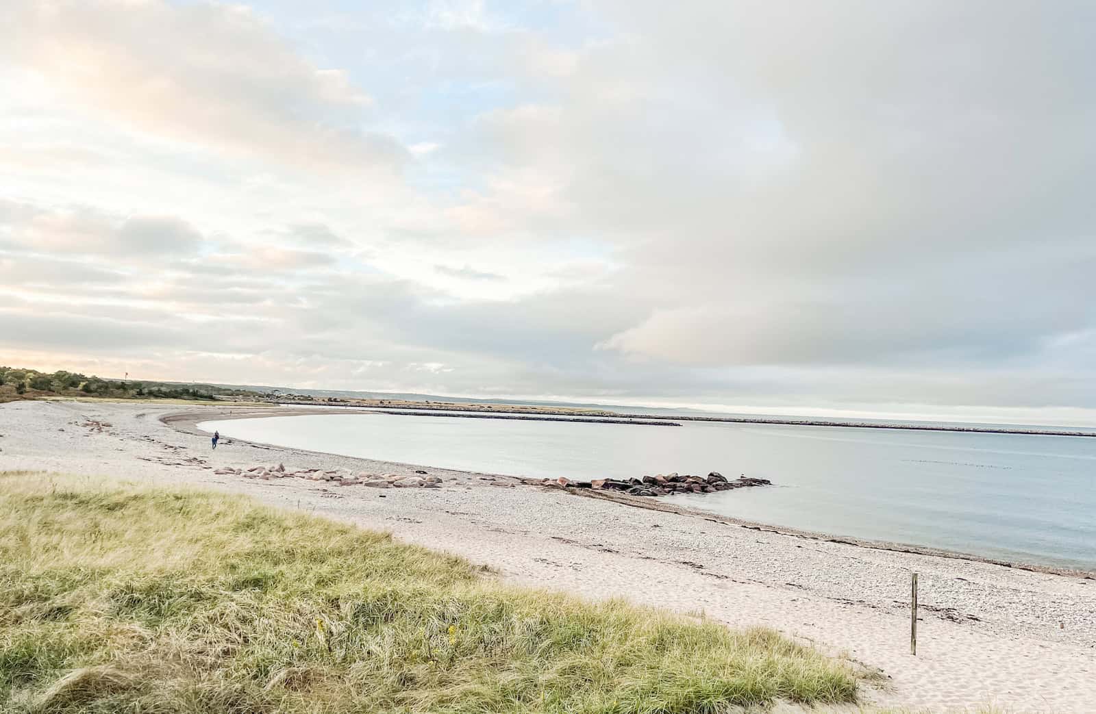 The Best Cape Cod Wineries & Vineyards (From a Local)