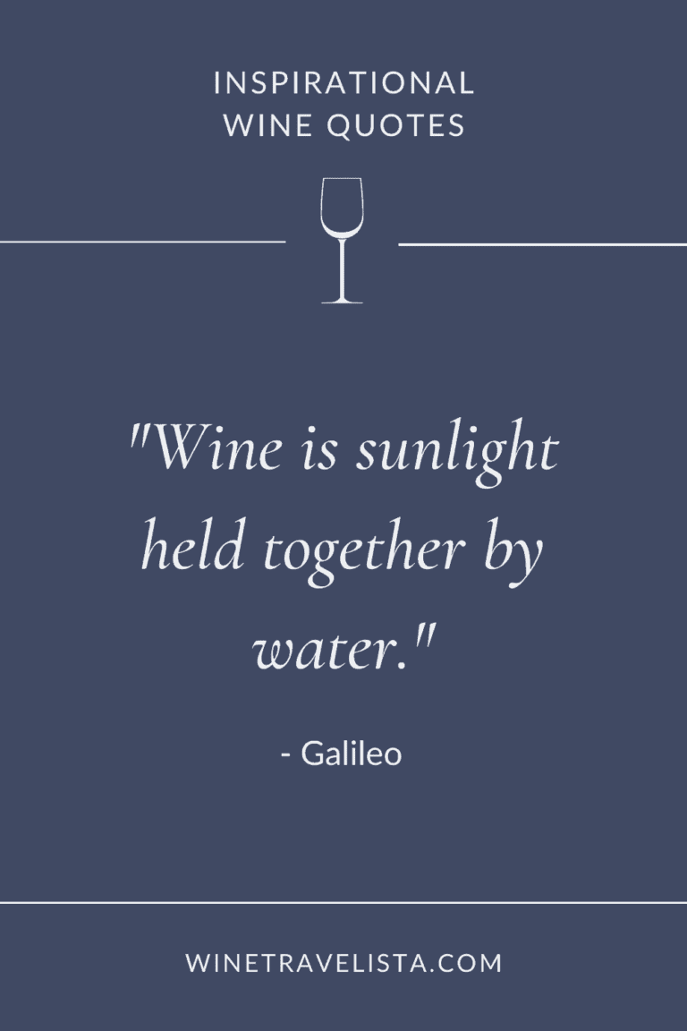 111 Inspirational Wine Quotes for the Classy Drinker