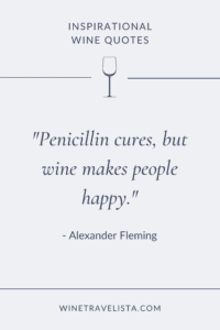 111 Inspirational Wine Quotes for the Classy Drinker