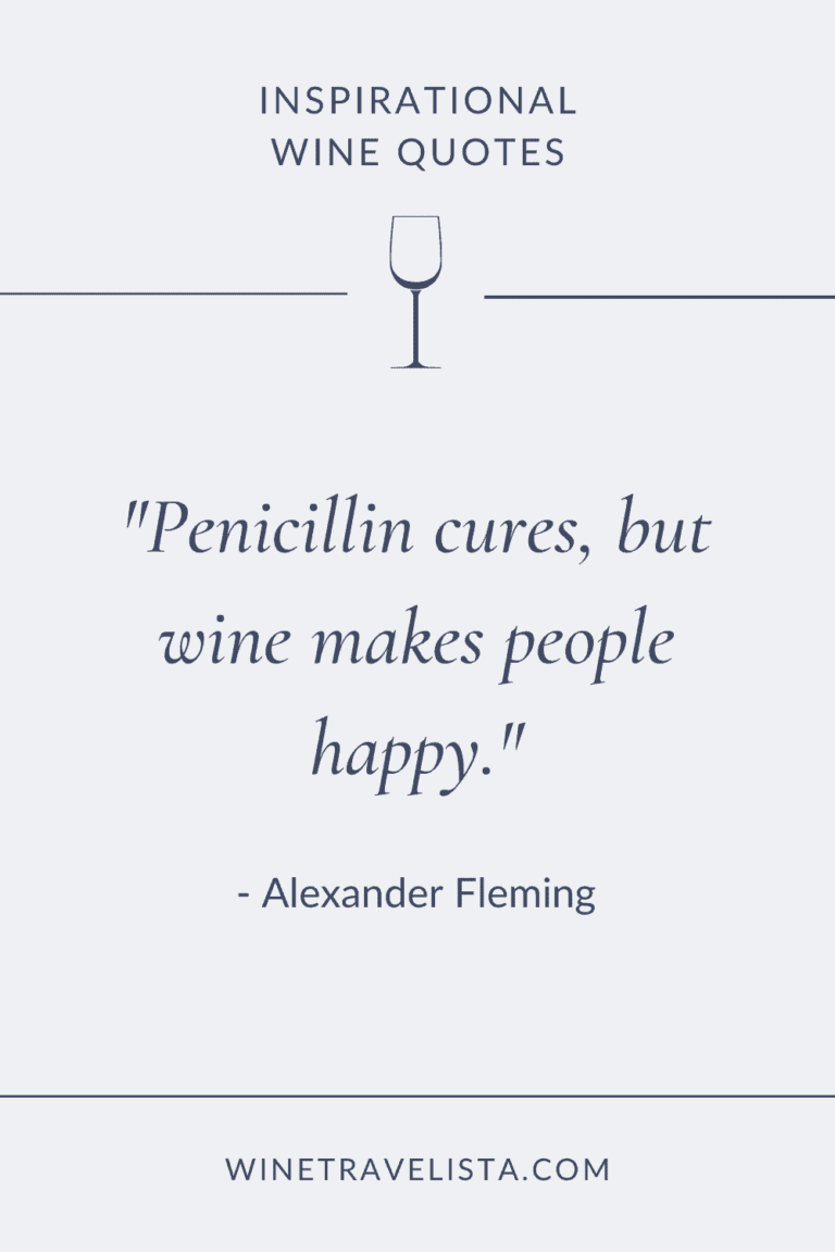 111 Inspirational Wine Quotes for the Classy Drinker