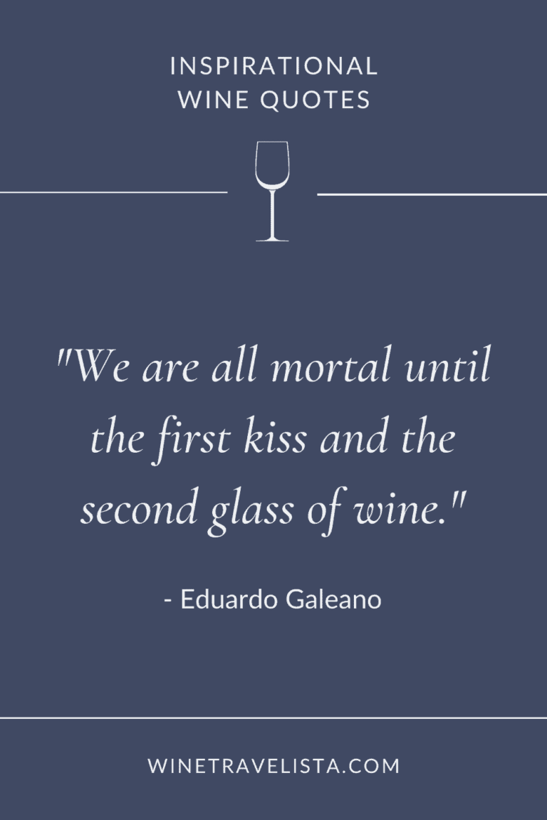 111 Inspirational Wine Quotes for the Classy Drinker