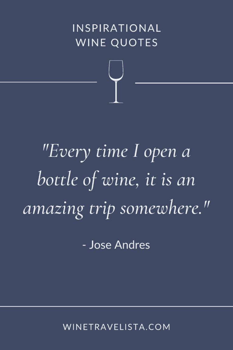 111 Inspirational Wine Quotes for the Classy Drinker