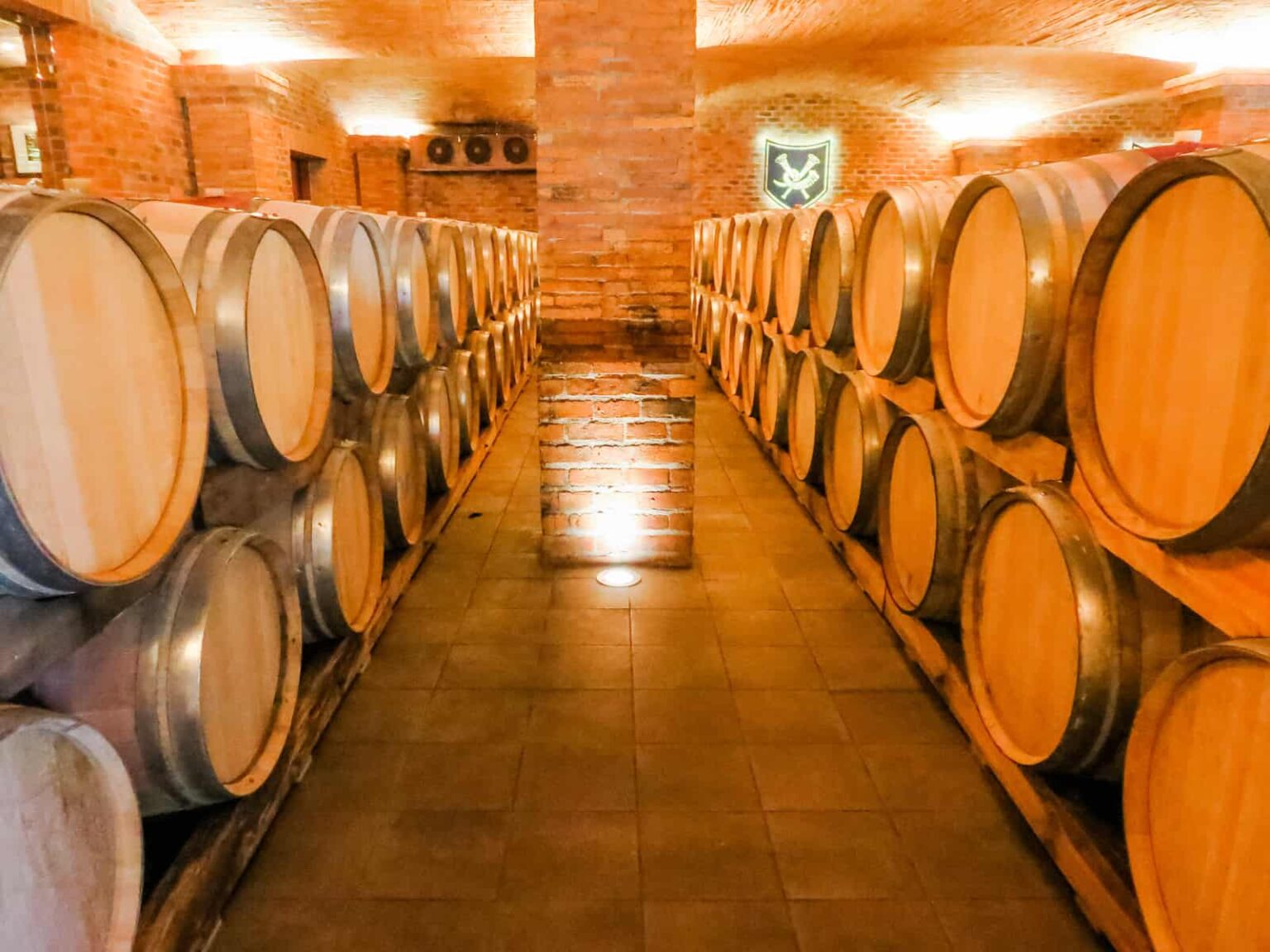 Mead vs Wine: What is the Difference? (Wine Expert Explains)