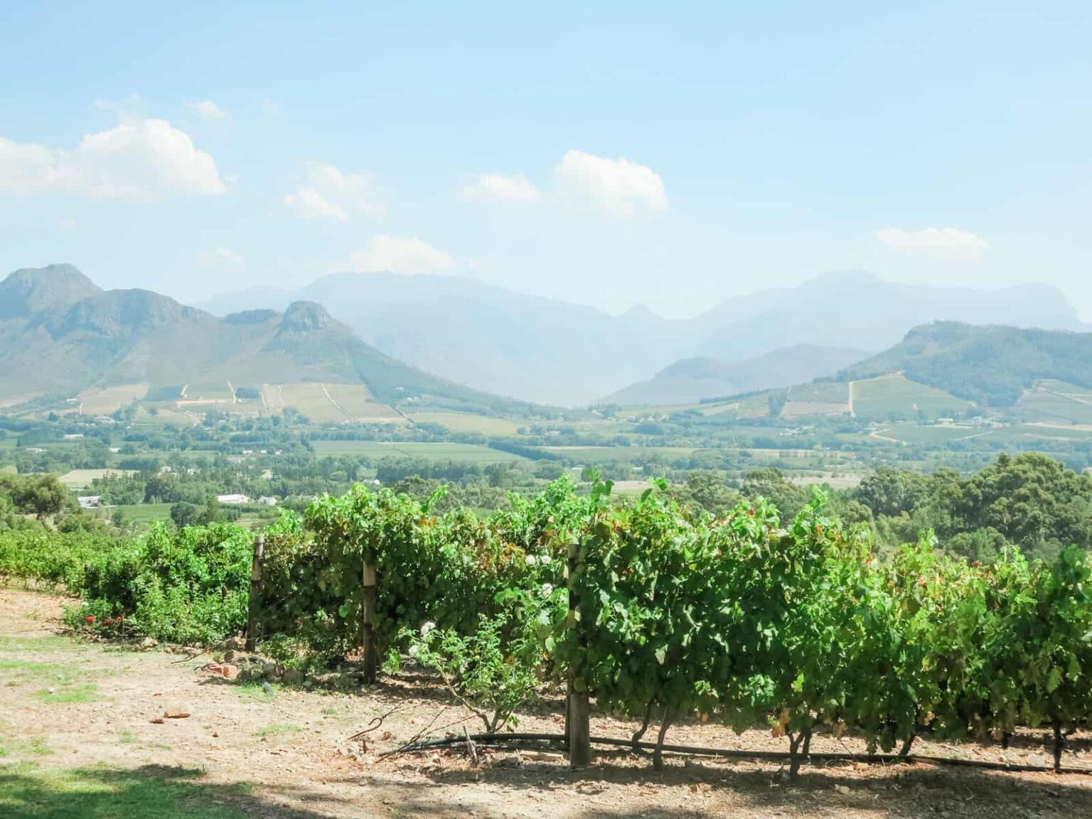 10 Best Stellenbosch Wineries to Visit in South Africa