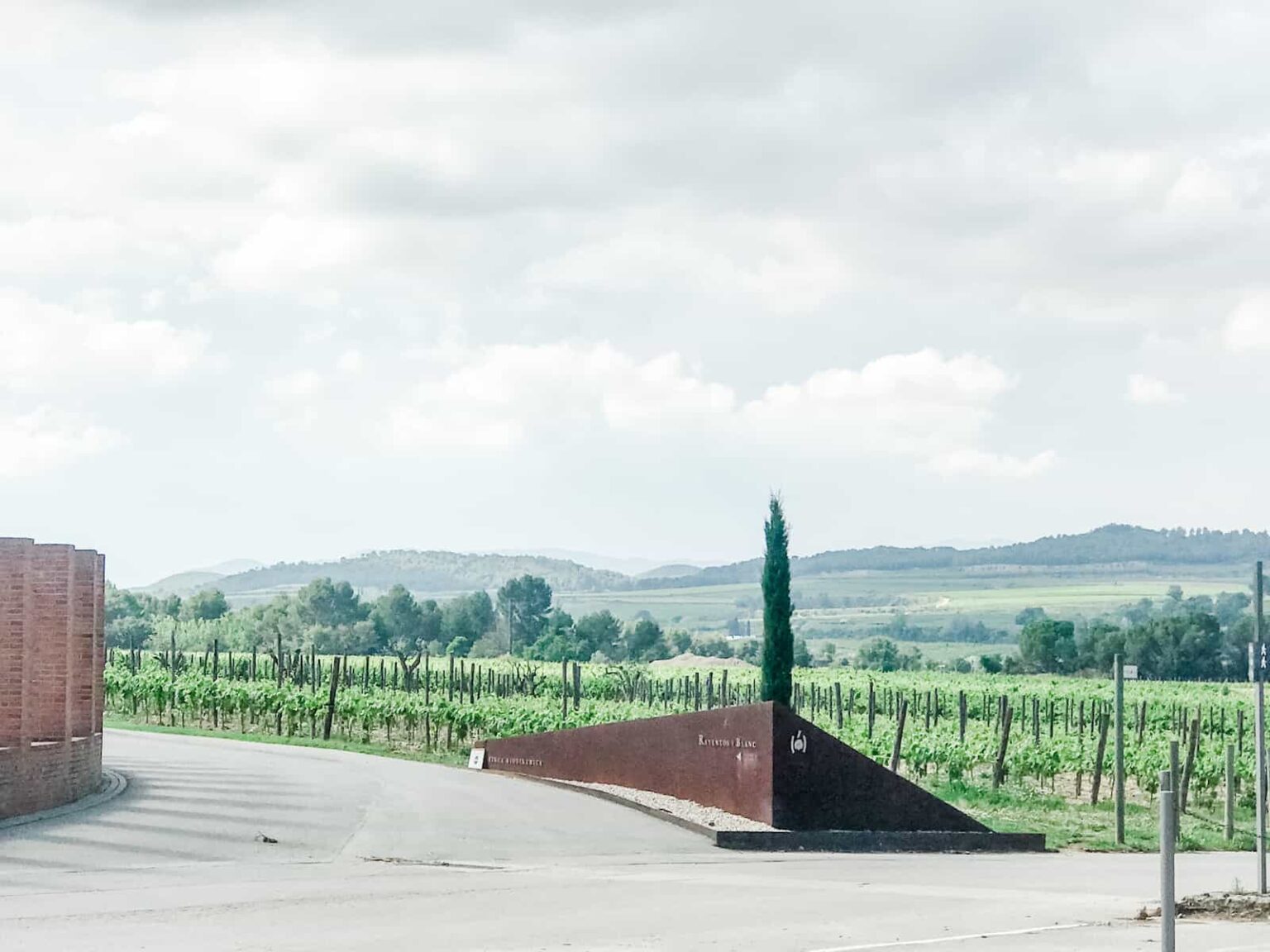 How to Visit Cava Wineries Near Barcelona, Spain - Wine Travelista