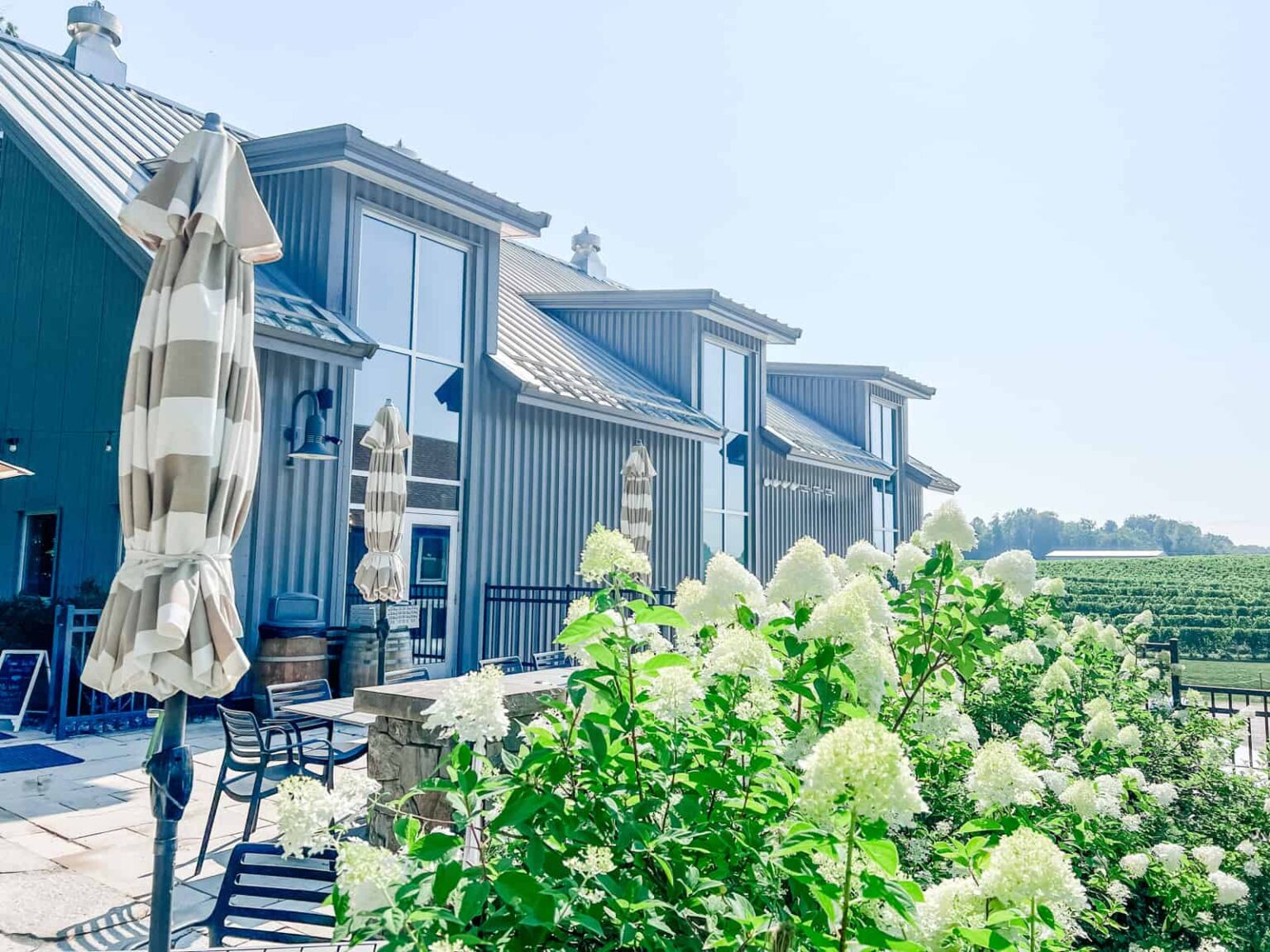 8 Best New Buffalo Wineries in Southwest Michigan