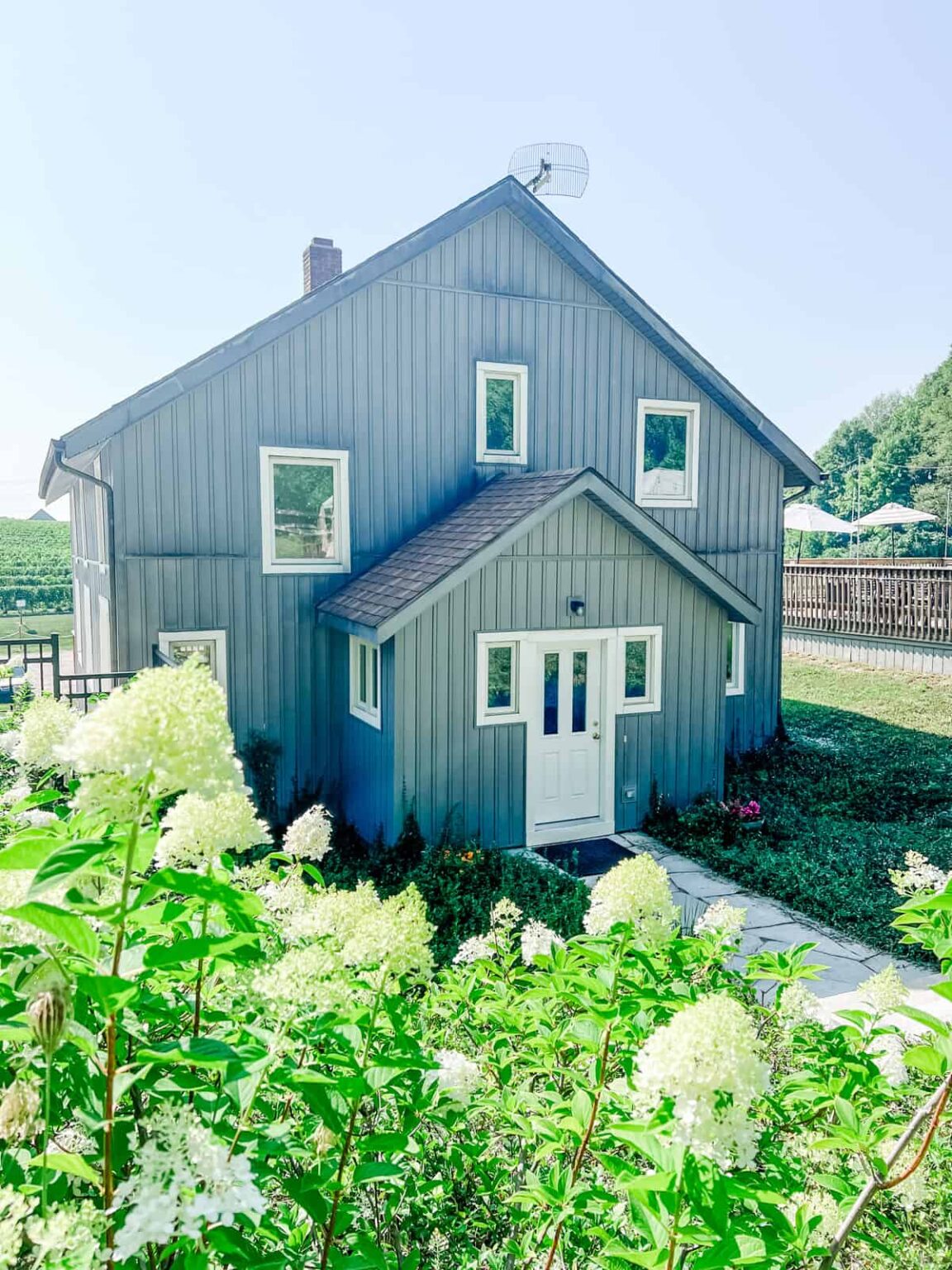 8 Best New Buffalo Wineries in Michigan (2024 Guide)