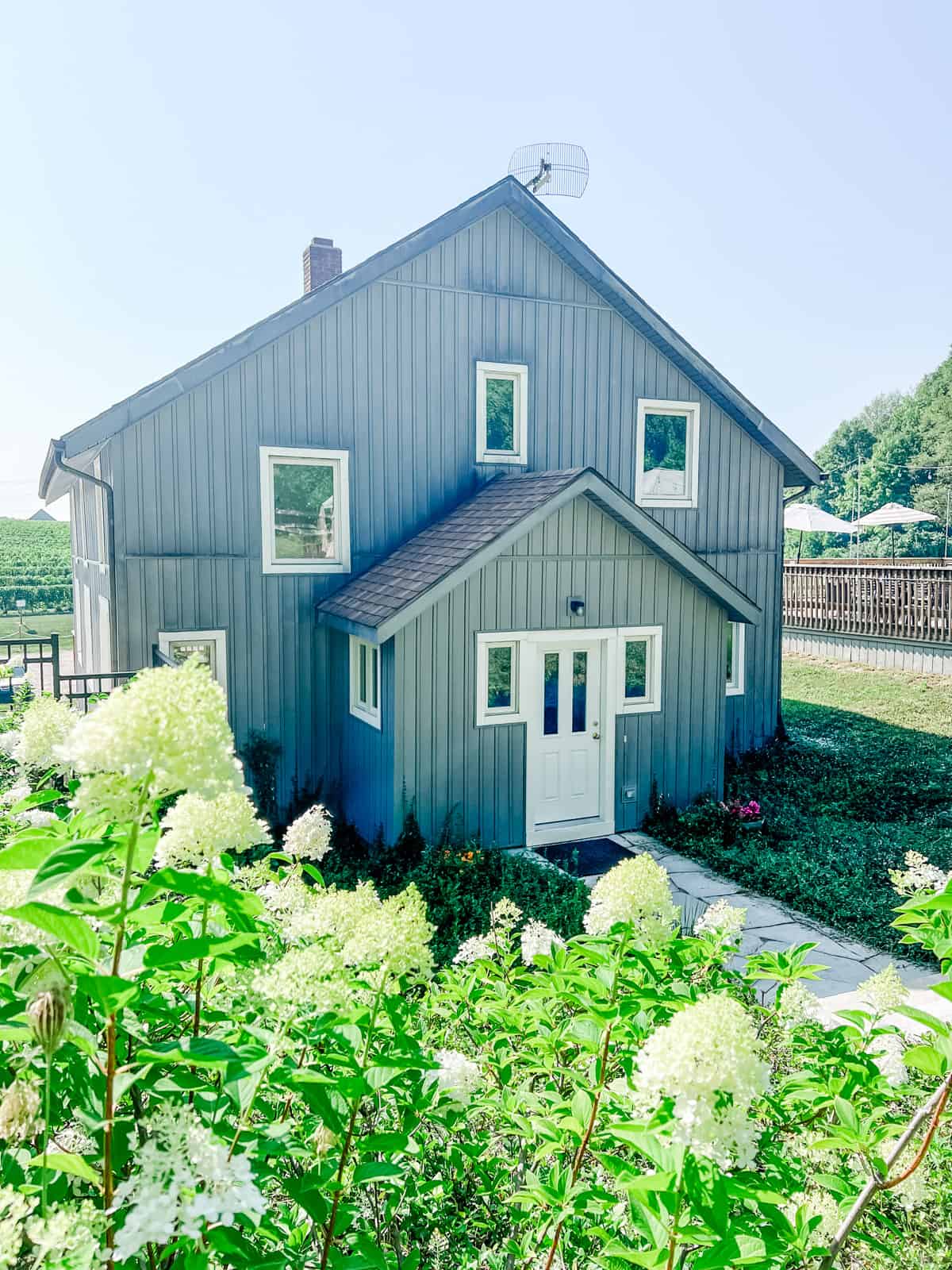 8 Best New Buffalo Wineries in Michigan (2024 Guide)