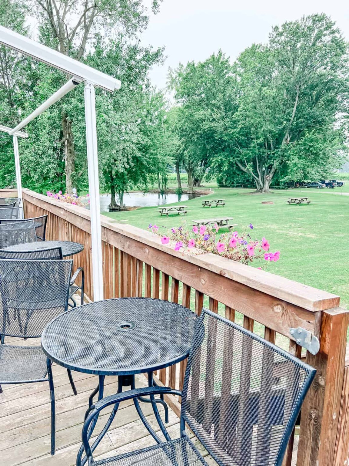 8 Best New Buffalo Wineries in Southwest Michigan