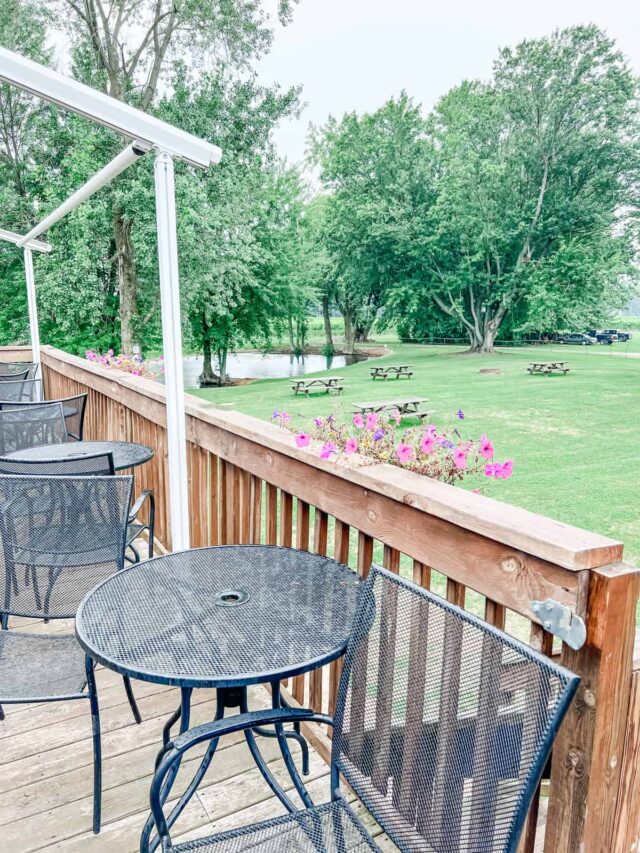 8 Best New Buffalo Wineries in Southwest Michigan