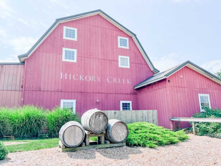 8 Best New Buffalo Wineries in Southwest Michigan