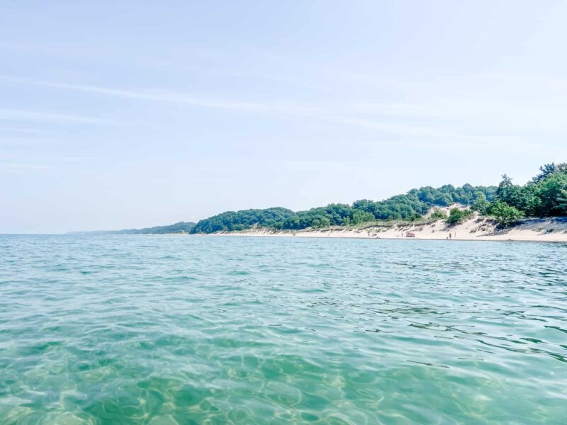 8 Best New Buffalo Wineries in Michigan (2023 Guide) - Wine Travelista