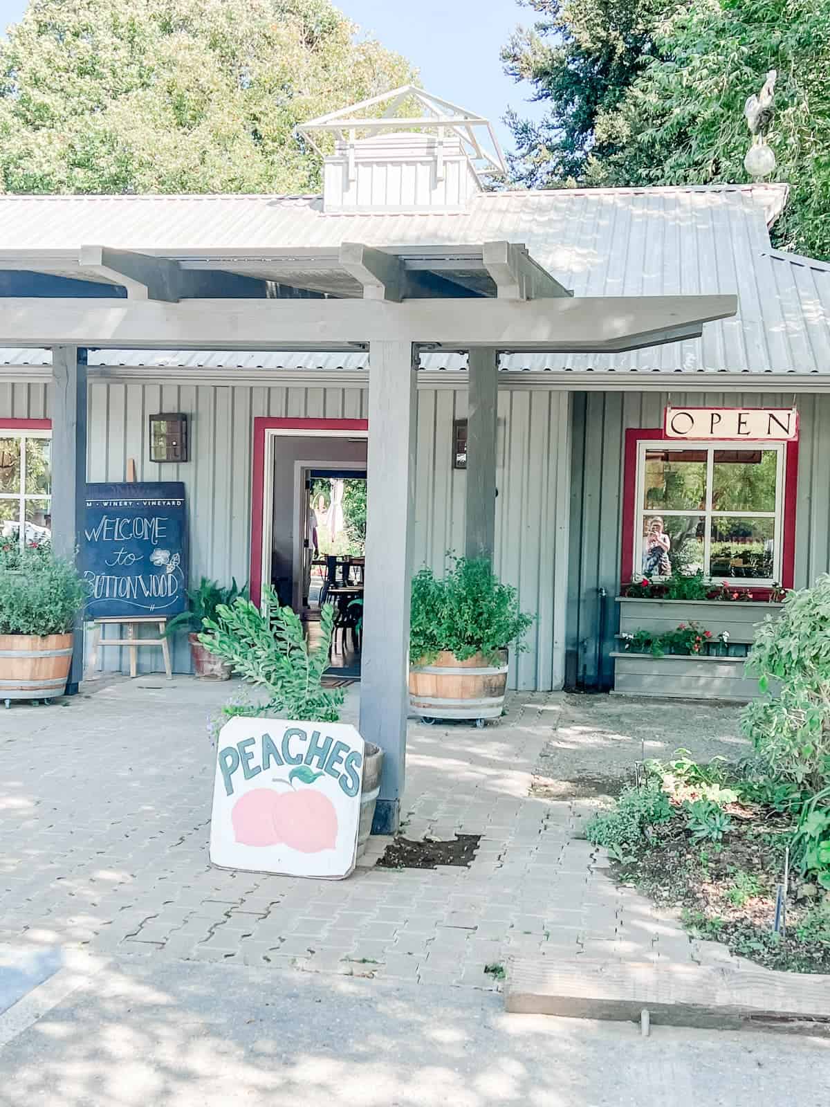10 Best Solvang Wineries and Wine Tasting Rooms