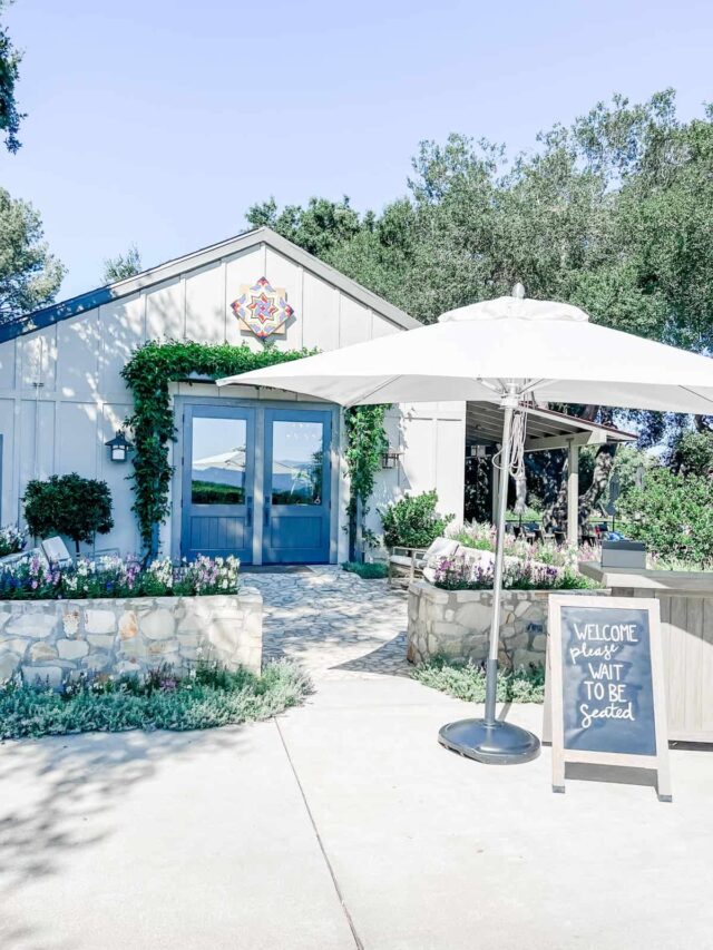 10 Best Solvang Wineries and Wine Tasting Rooms