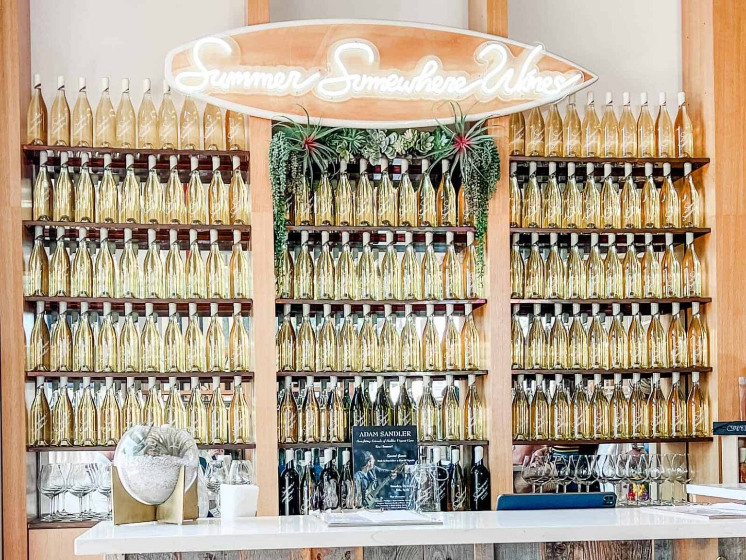 6 Best Malibu Wineries & Tasting Rooms in California