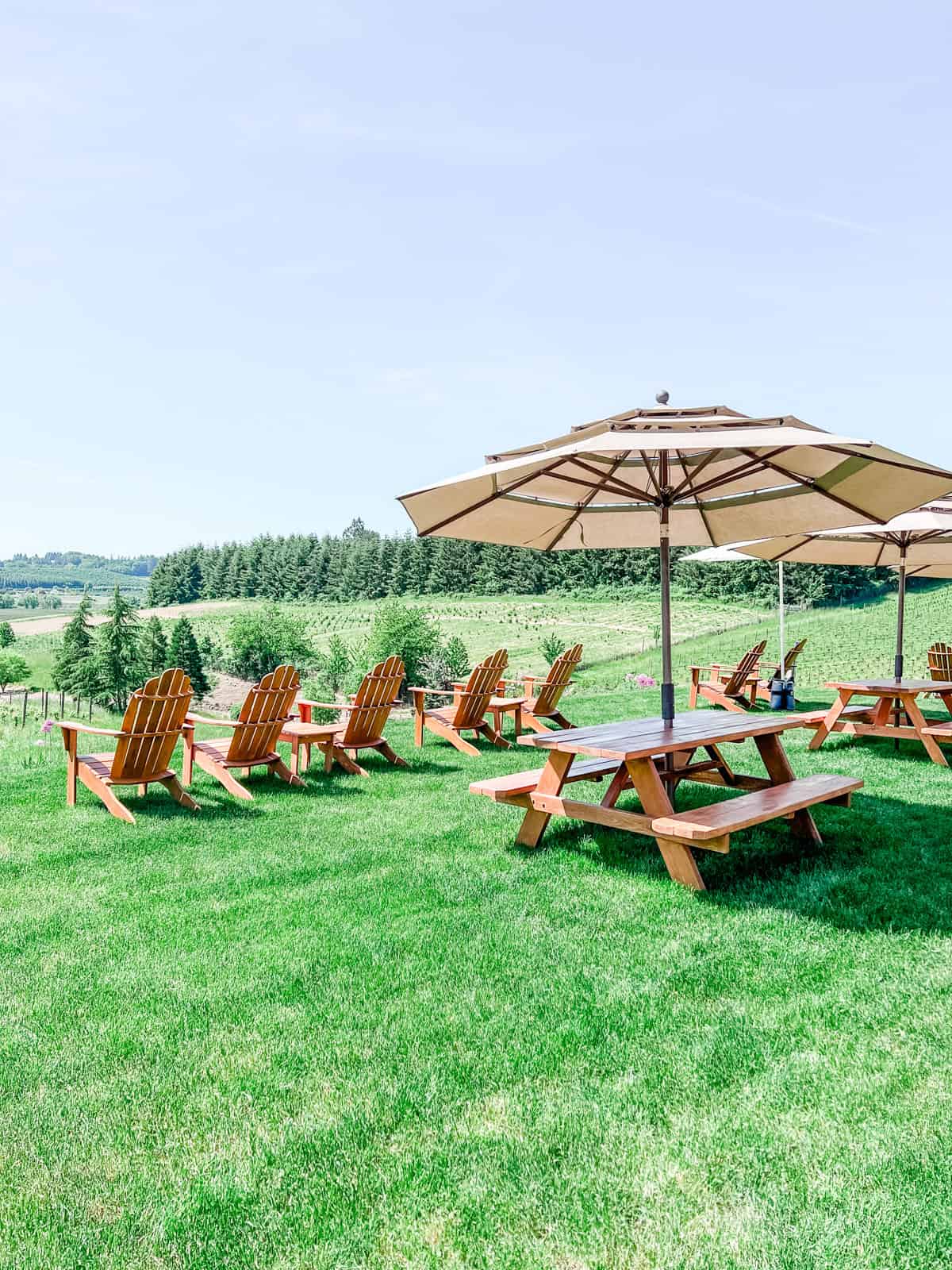 6 Must-Visit Ribbon Ridge Wineries in Newberg, Oregon