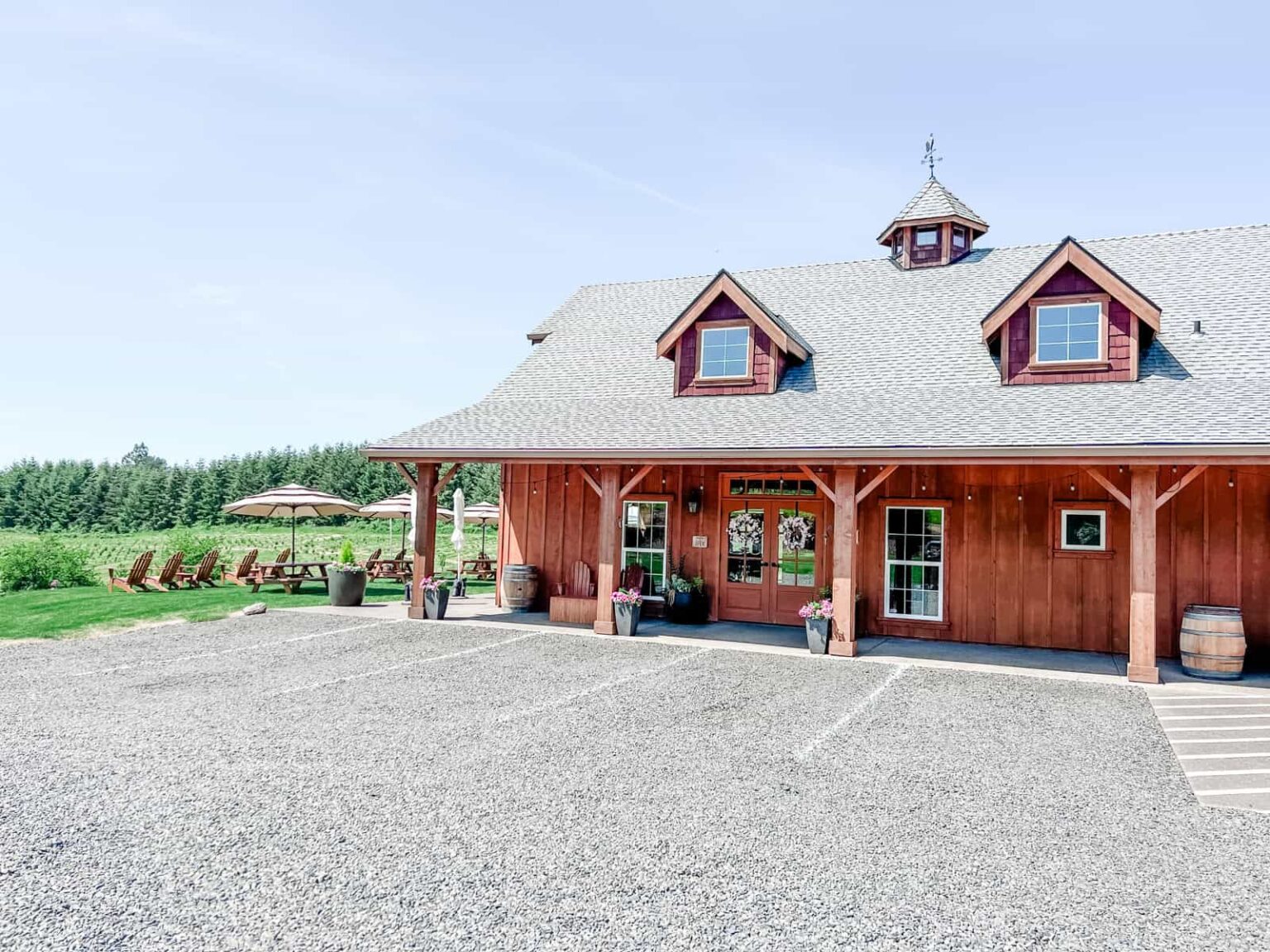 6 Must-Visit Ribbon Ridge Wineries in Newberg, Oregon