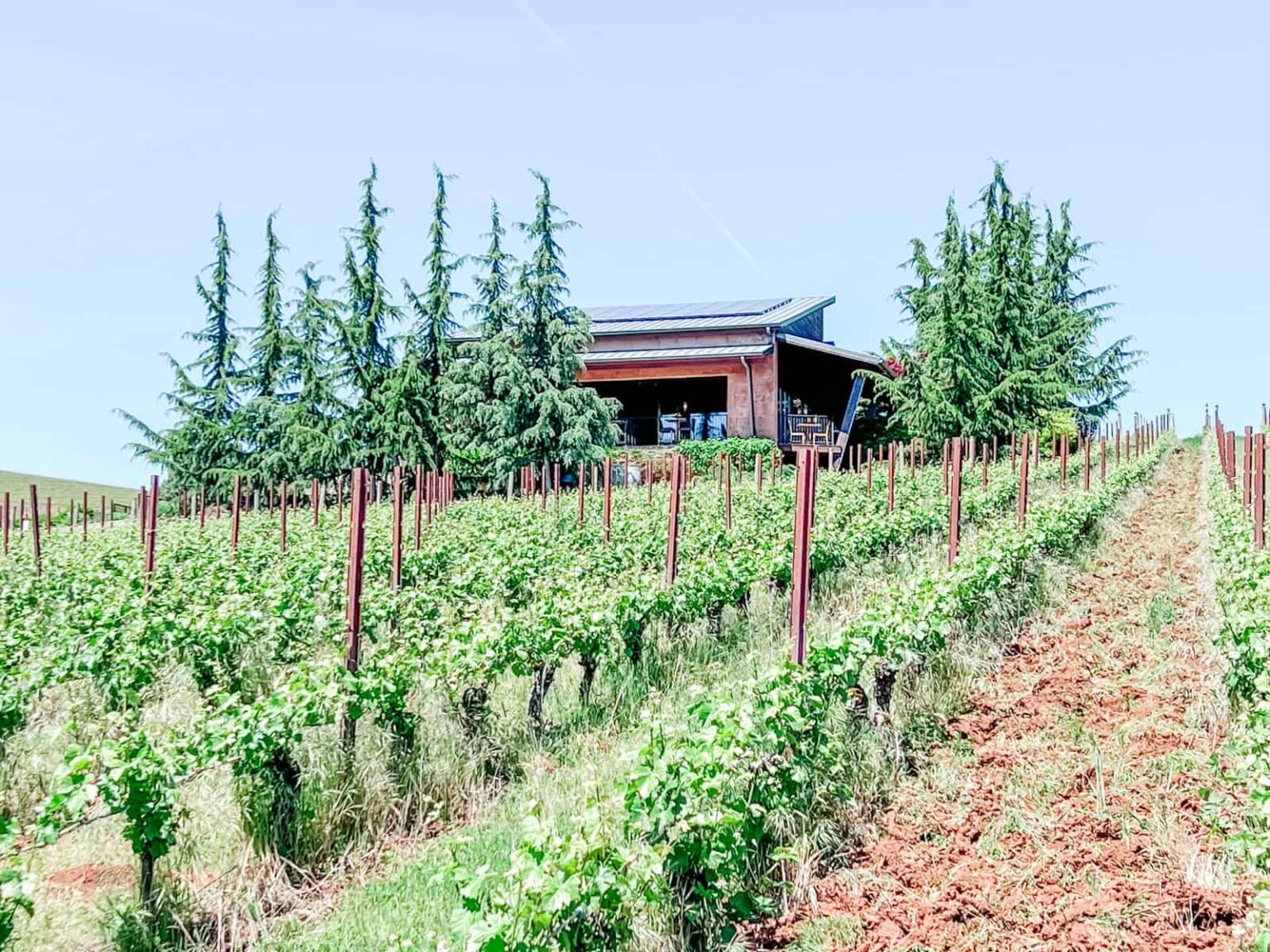 5 Top Dundee, Oregon Wineries to Visit in Willamette Valley