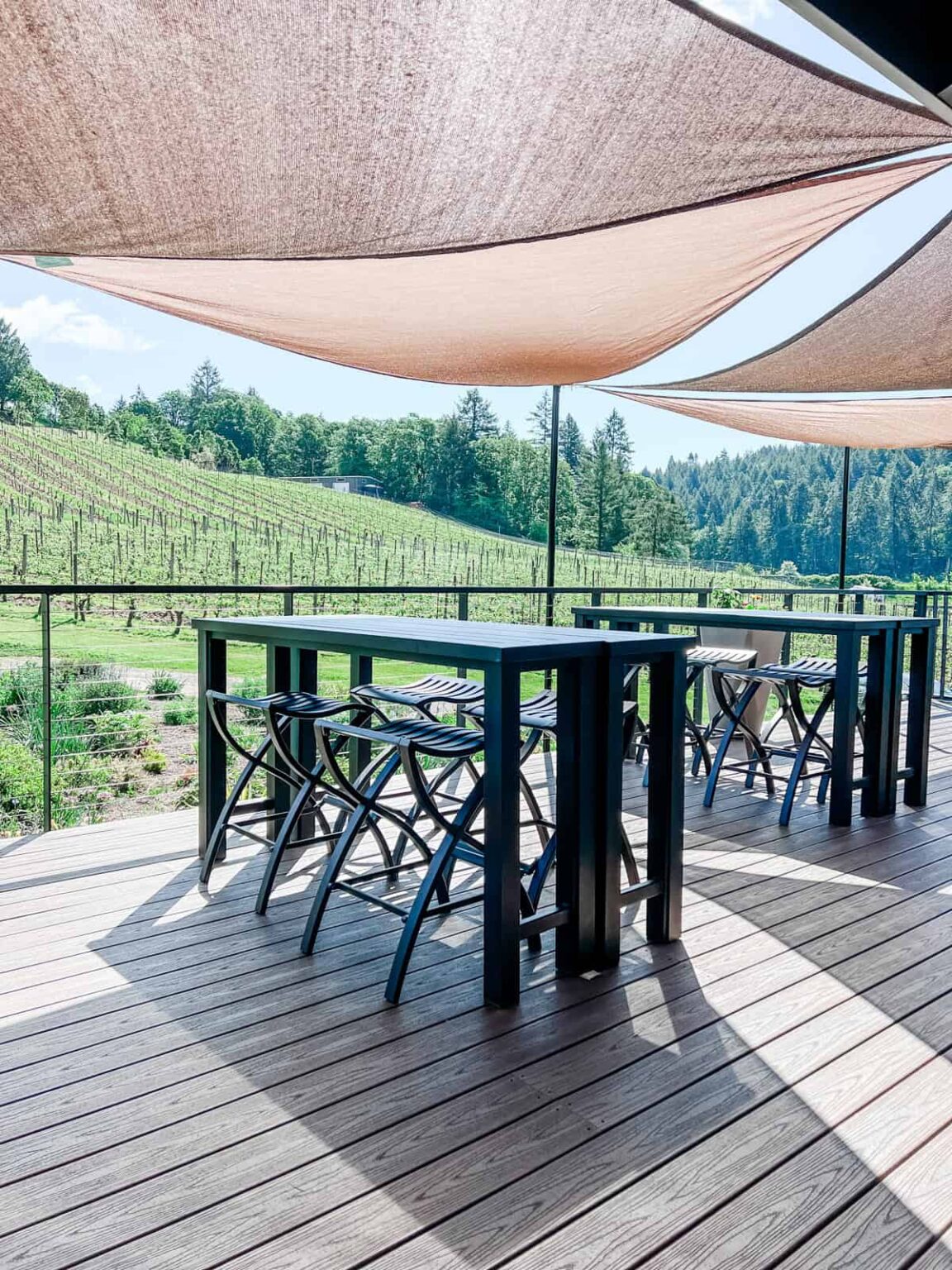 6 Must-Visit Ribbon Ridge Wineries in Newberg, Oregon