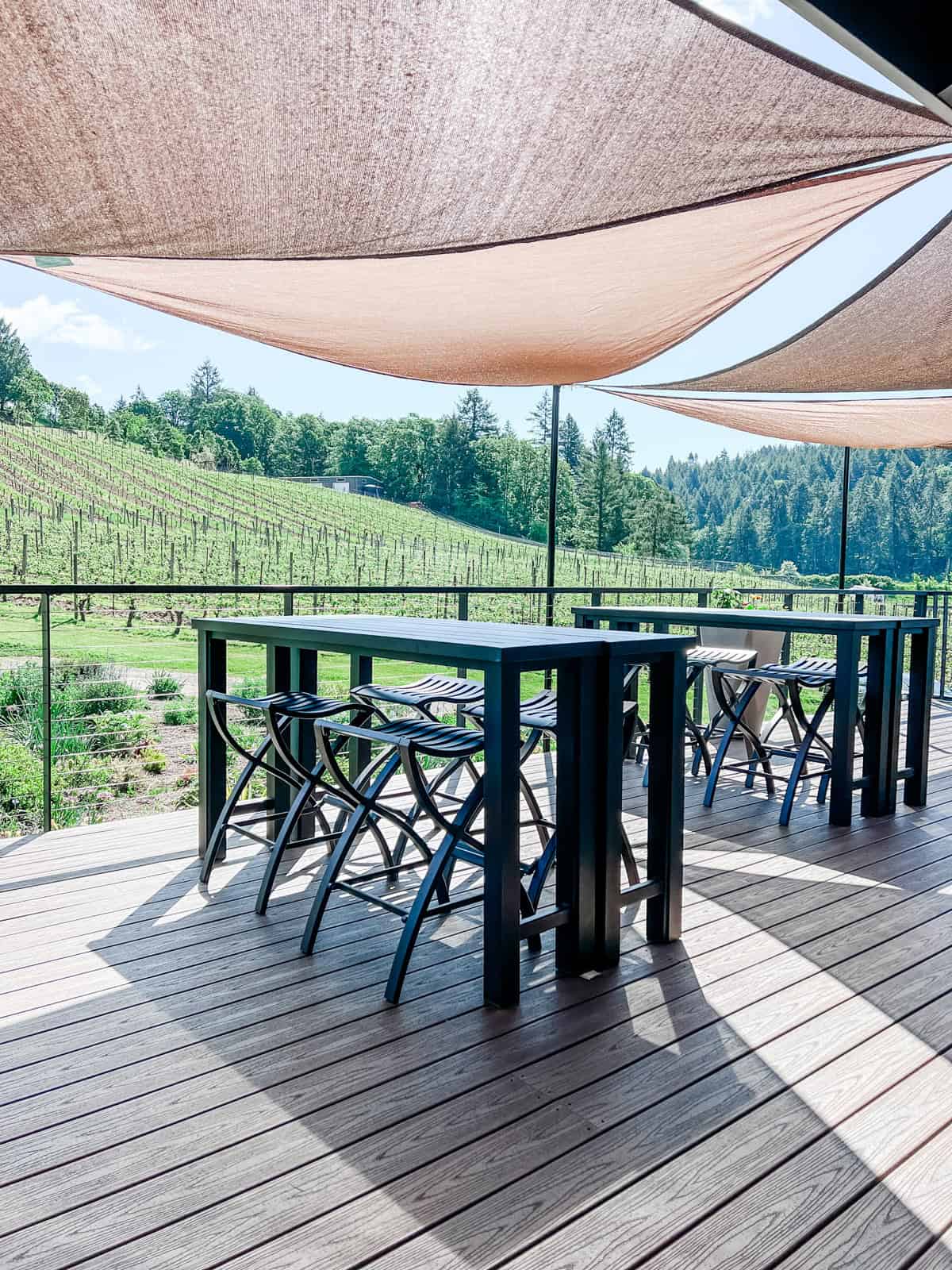 6 Must-Visit Ribbon Ridge Wineries in Newberg, Oregon