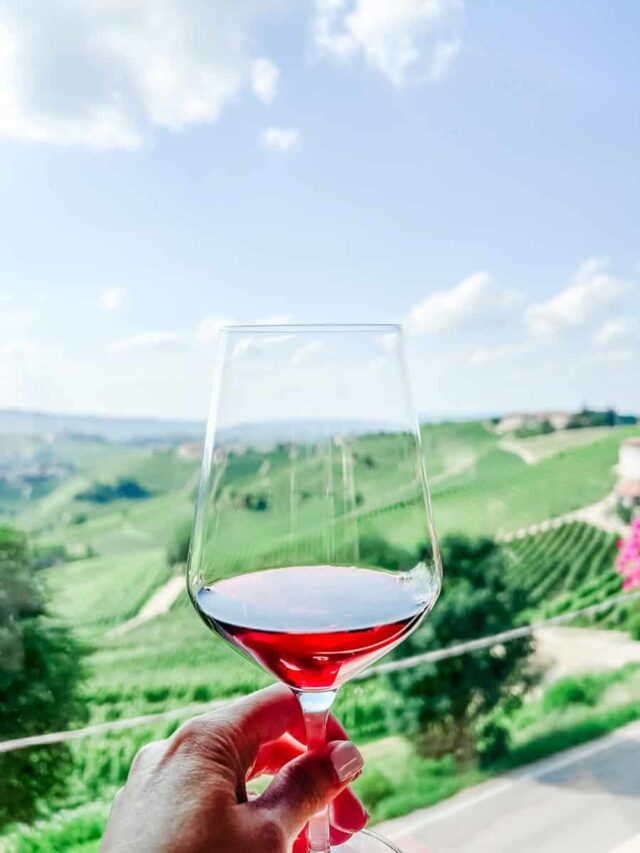 Free Printable Wine Trip Planning Checklist